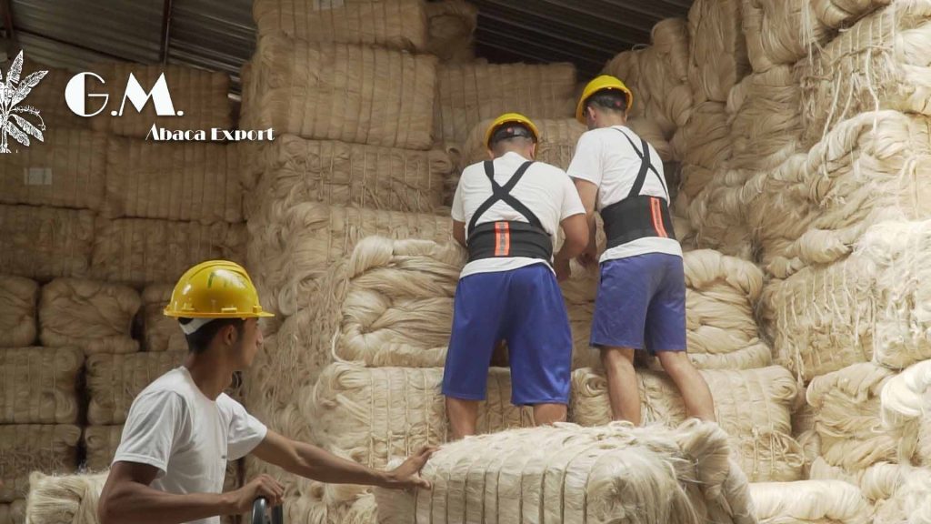 GM Abaca Export. Exportadores de fibra de Abacá - Ecuador