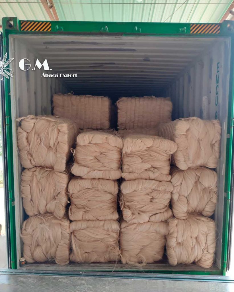GM Abaca Export. Exportadores de fibra de Abacá - Ecuador